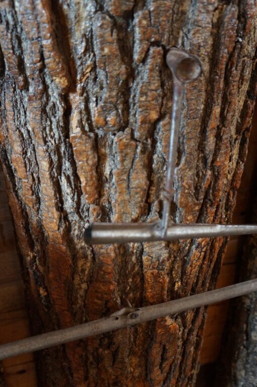 Maple Heritage Museum | Wheelers Maple